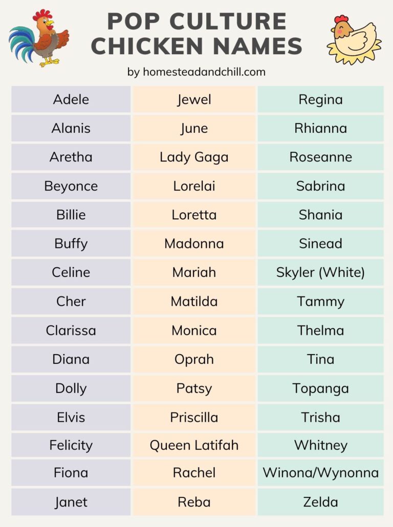 500+ Best Chicken Names: Funny, Cute, Unique, Puns and More ~ Homestead ...