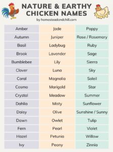 500+ Best Chicken Names: Funny, Cute, Unique, Puns and More ~ Homestead ...