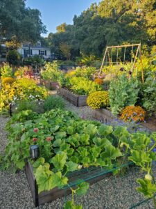 23 Best Pollinator Garden Plants for Bees, Butterflies and Hummingbirds ...