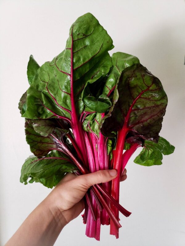 How to Grow Beets: Complete Guide with Photos ~ Homestead and Chill