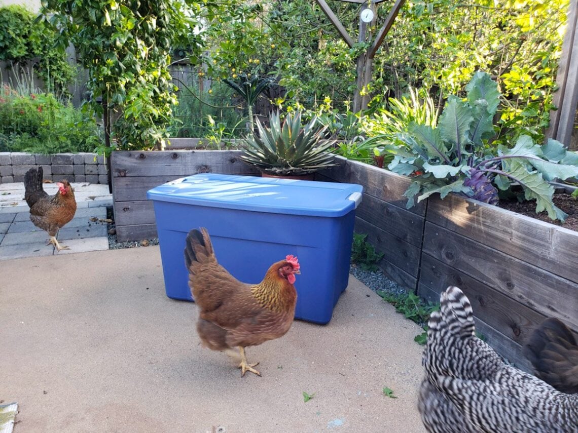 Vermicomposting 101 How To Make A Simple Worm Compost Bin ~ Homestead