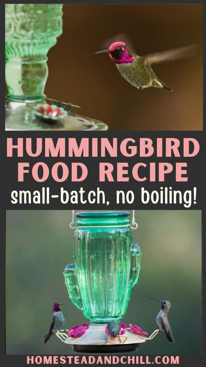How to Make Hummingbird Food (Nectar) Recipe ~ Homestead and Chill