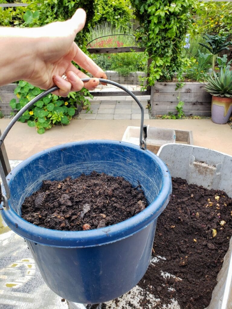 Vermicomposting 101: How to Make a Simple Worm Compost Bin ~ Homestead ...