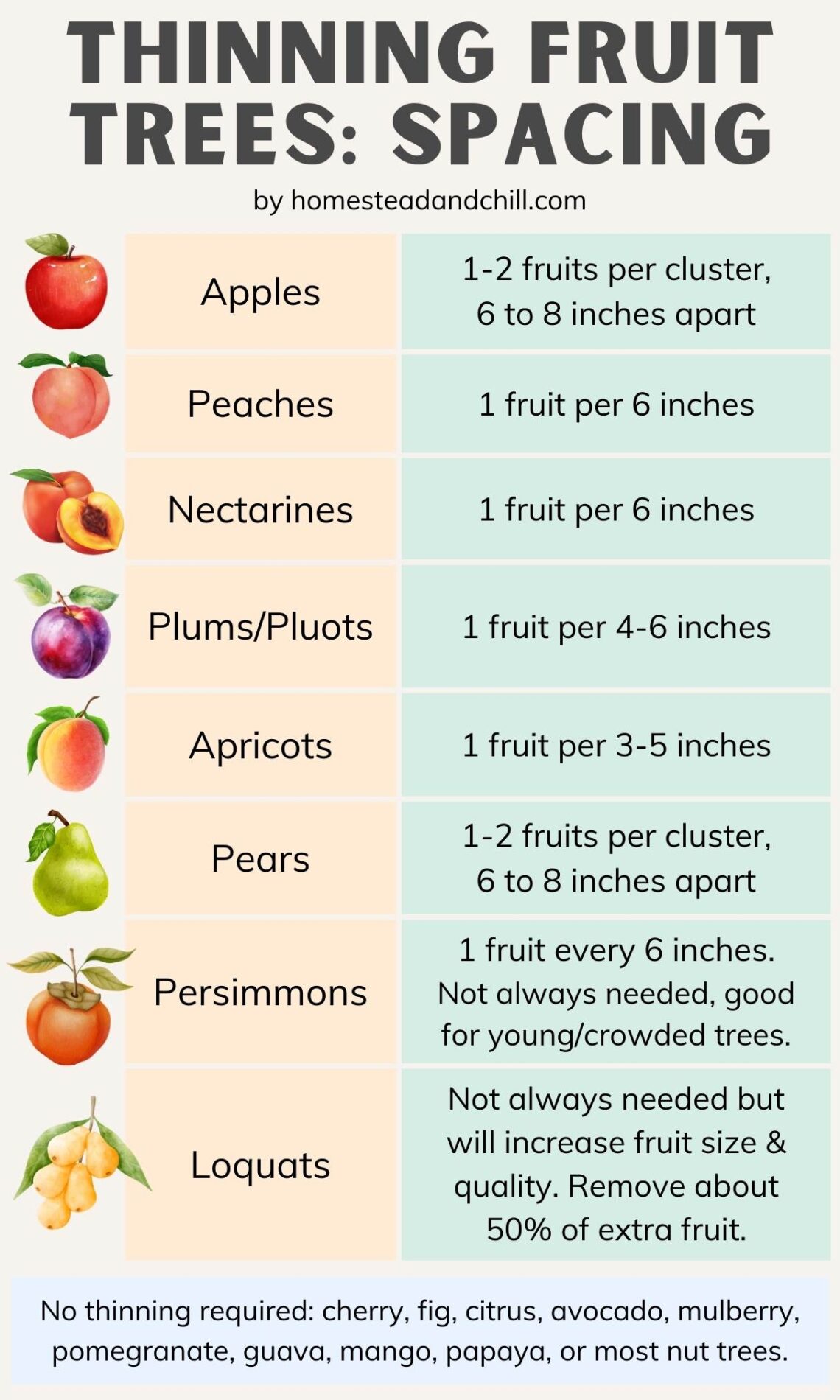 How to Thin Fruit Trees: Apples, Peaches, Plums and More ~ Homestead ...
