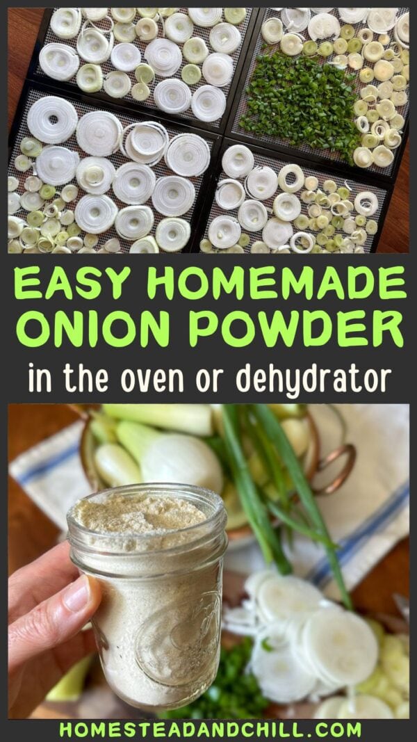How to Make Homemade Onion Powder (Dehydrator or Oven) ~ Homestead and ...