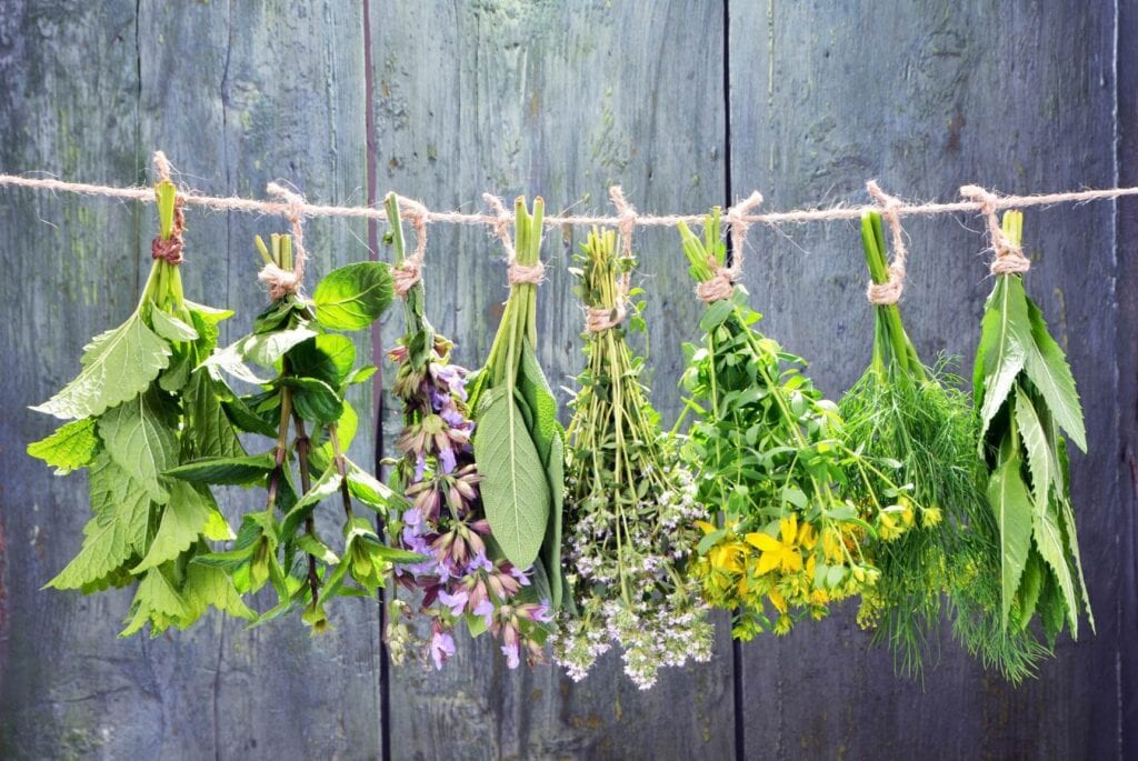 How to Dry Fresh Herbs: 4 Easy Ways + Storage Tips ~ Homestead and Chill