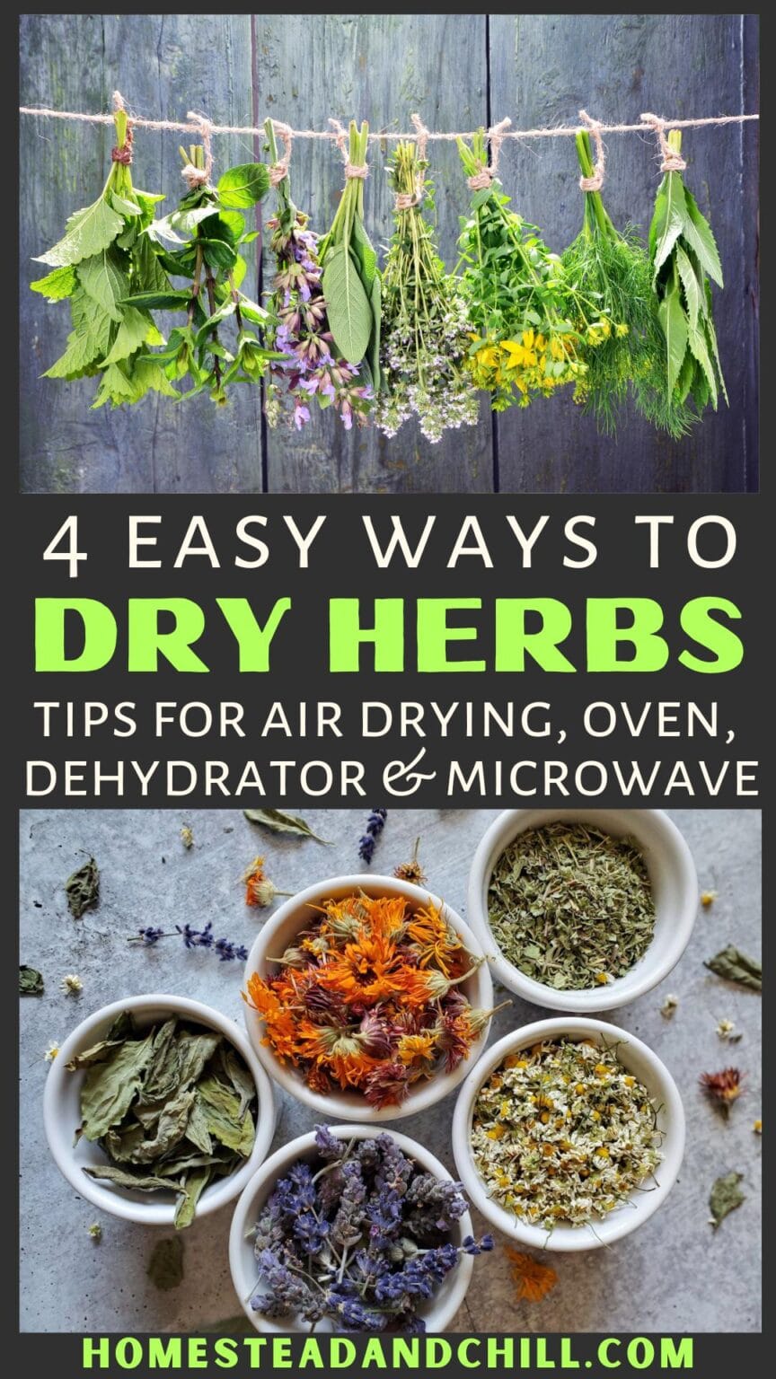 How to Dry Fresh Herbs: 4 Easy Ways + Storage Tips ~ Homestead and Chill