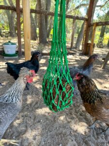 Best DIY Flock Block Recipe: How to Make a Chicken Treat Block ...