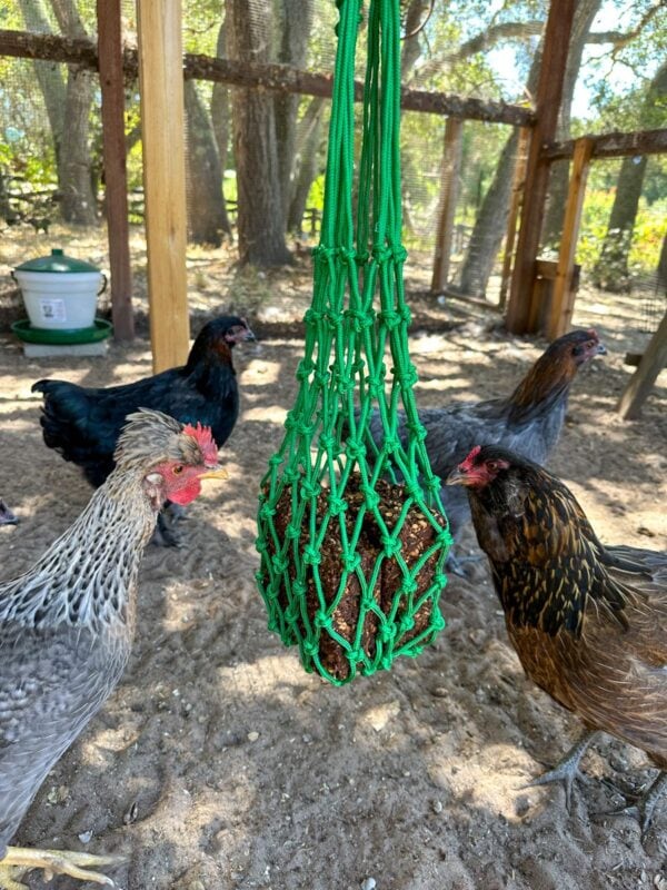 Best DIY Flock Block Recipe: How to Make a Chicken Treat Block ...