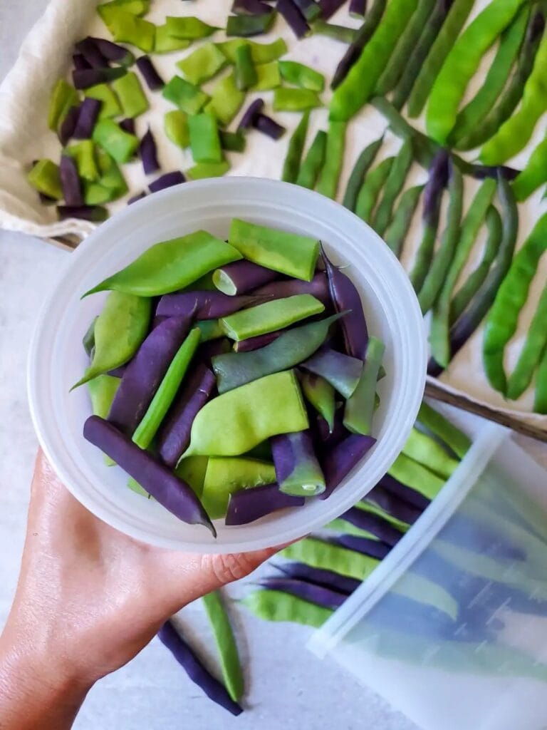 7 Ways to Preserve Green Beans: Can, Freeze, Dry, Pickle and More ...
