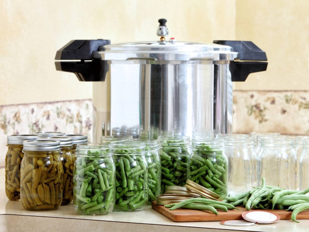 7 Ways to Preserve Green Beans: Can, Freeze, Dry, Pickle and More ...