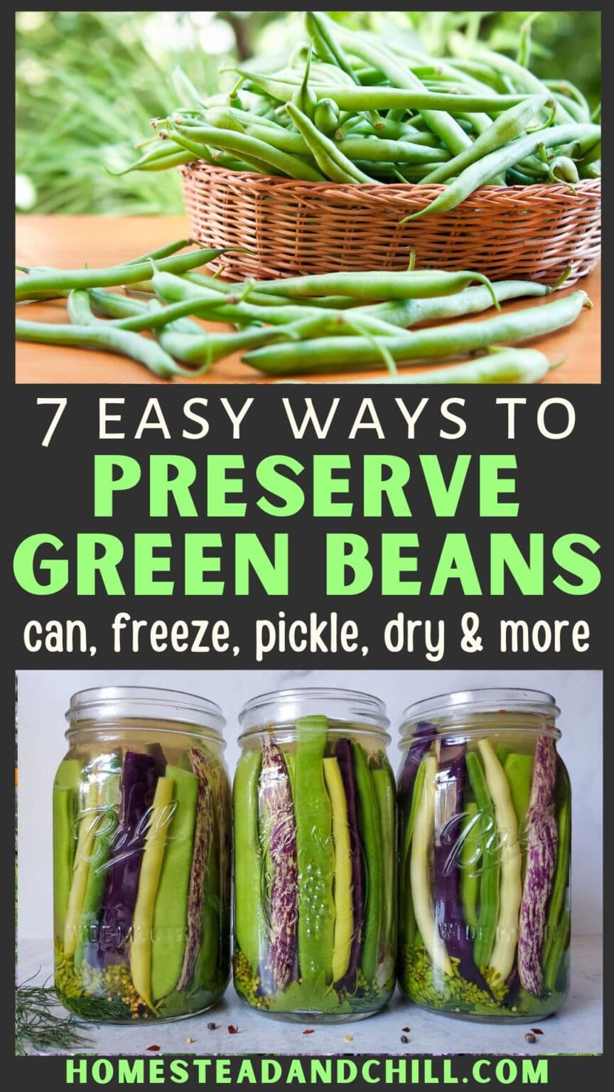 7 Ways to Preserve Green Beans: Can, Freeze, Dry, Pickle and More ...
