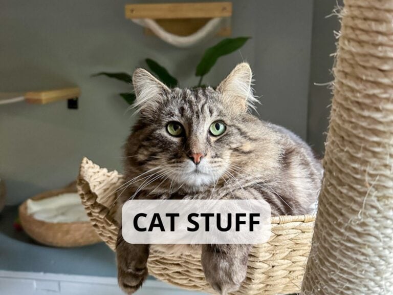 Homestead & Garden Supplies ~ Homestead and Chill