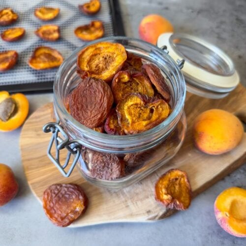 How to Dry Apricots Two Ways (Food Dehydrator or Oven) ~ Homestead and ...