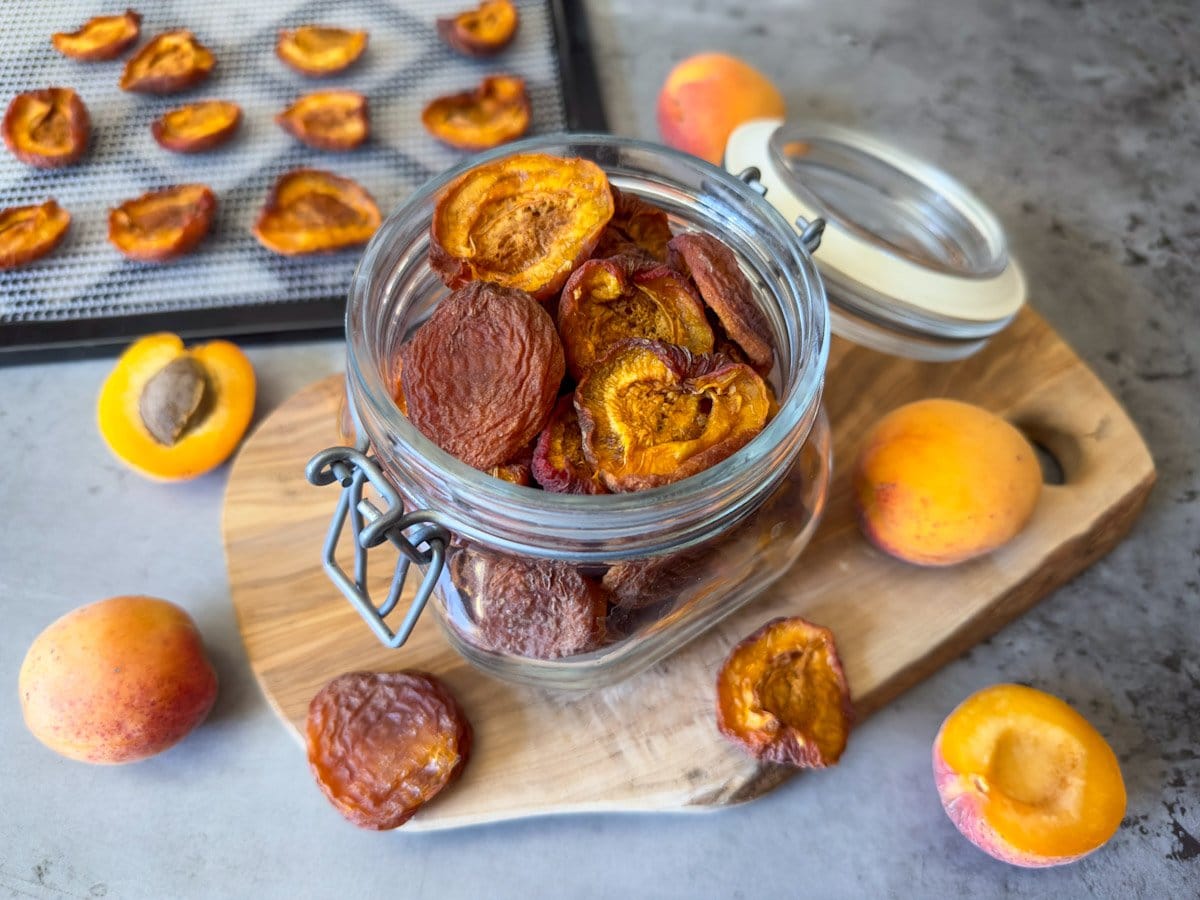 How to Dry Apricots Two Ways (Food Dehydrator or Oven) ~ Homestead and Chill