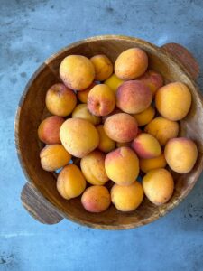 How to Dry Apricots Two Ways (Food Dehydrator or Oven) ~ Homestead and ...