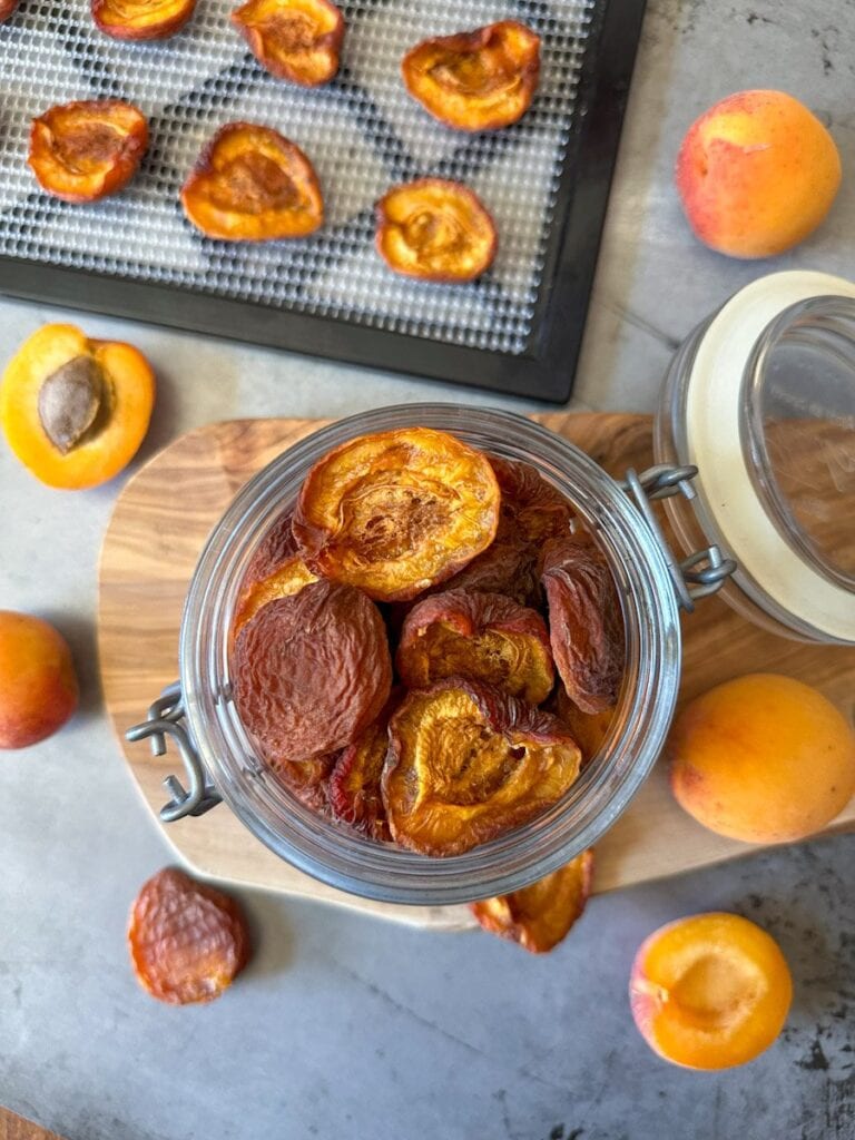 How to Dry Apricots Two Ways (Food Dehydrator or Oven) ~ Homestead and ...