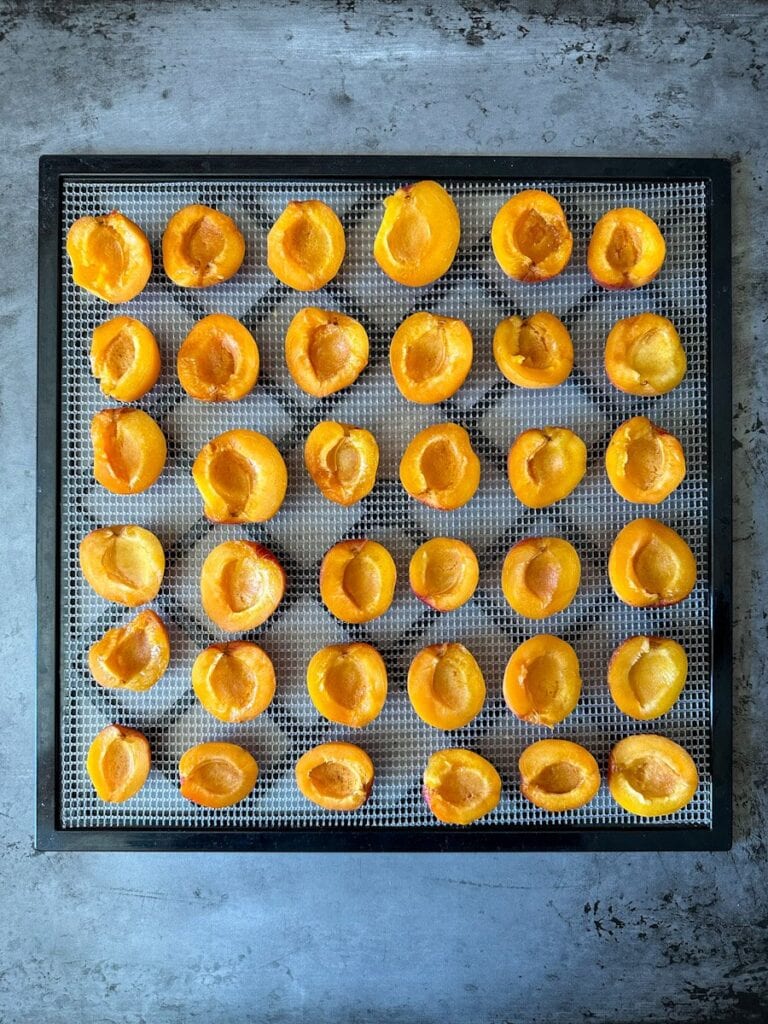 How to Dry Apricots Two Ways (Food Dehydrator or Oven) ~ Homestead and ...