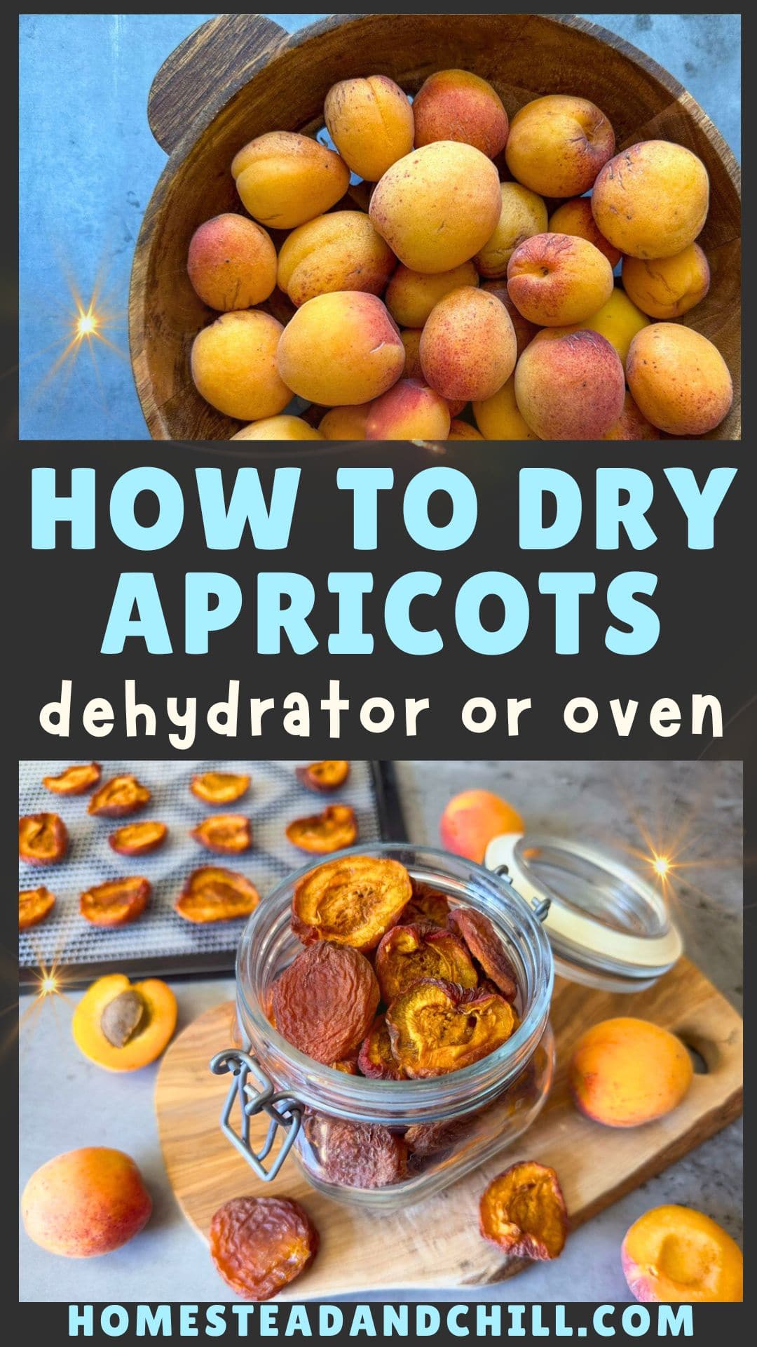 How to Dry Apricots Two Ways (Food Dehydrator or Oven) ~ Homestead and Chill