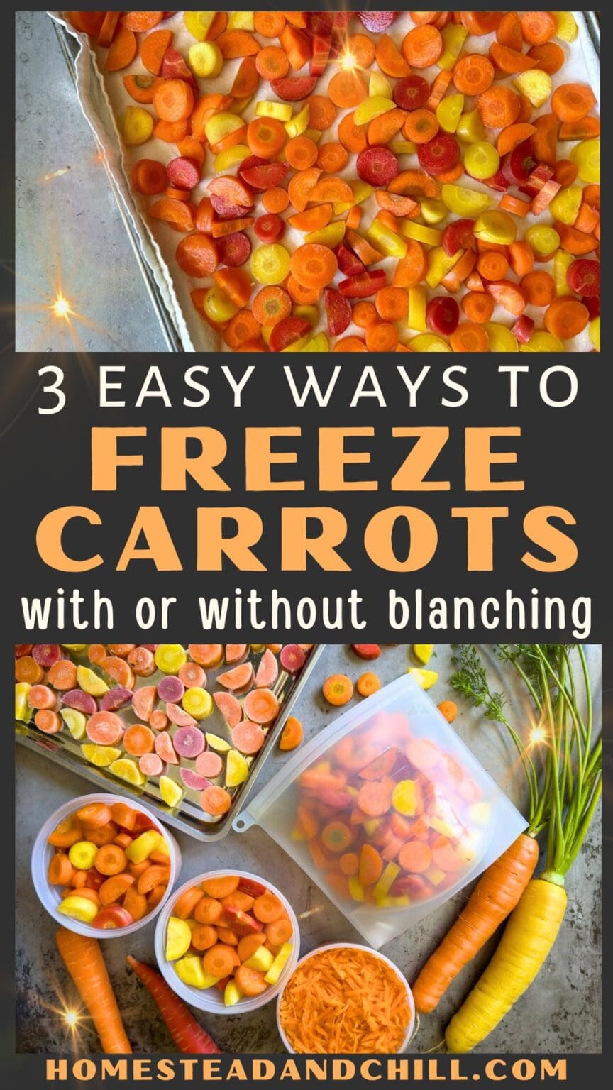 How to Freeze Carrots (With or Without Blanching) ~ Homestead and Chill
