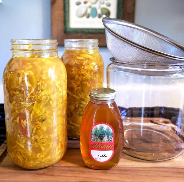 Easy Fire Cider Recipe: How to Make Homemade Fire Cider ~ Homestead and ...