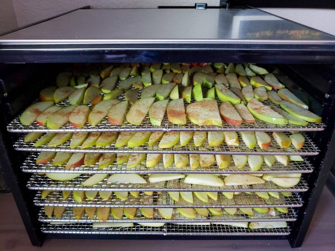 Dehydrating Apples: How to Make Apple Chips in a Dehydrator, Oven or ...