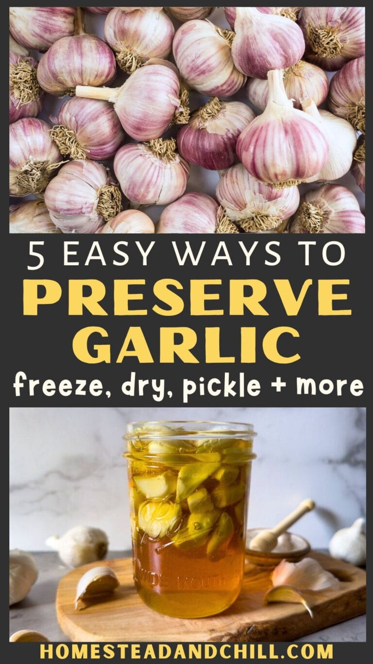 5 Easy Ways to Preserve Garlic: Freeze, Dry, Pickle & More ~ Homestead ...