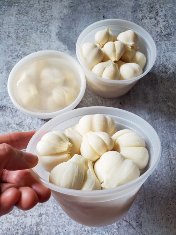 5 Easy Ways to Preserve Garlic: Freeze, Dry, Pickle & More ~ Homestead ...