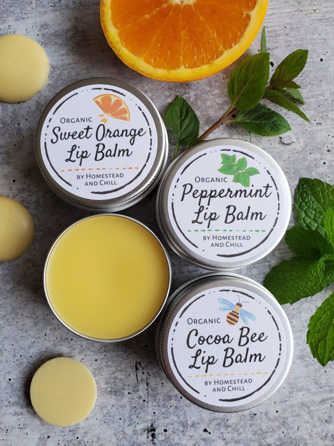 Easy Lip Balm Recipe (How to Make Homemade Lip Balm) ~ Homestead and Chill