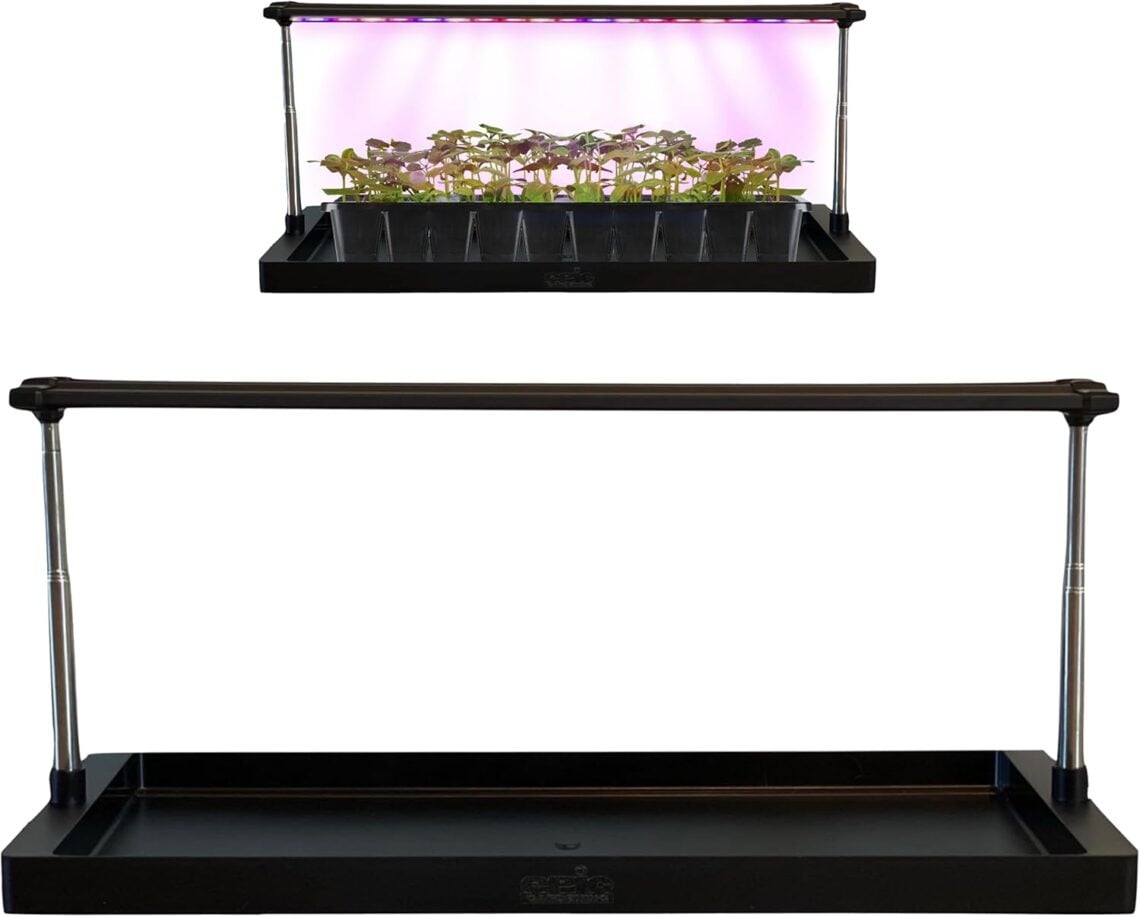 Starting Seeds Indoors: The Ultimate Guide + Seedling Care Tips ...