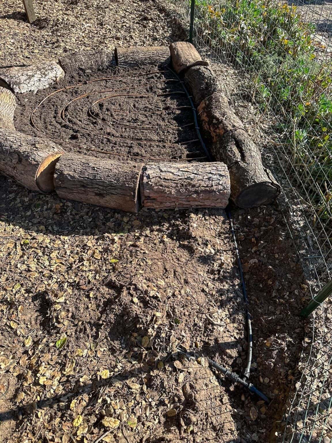 How to Make a Chicken Grazing Box (Chicken Run Idea) ~ Homestead and Chill
