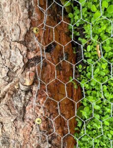 How to Make a Chicken Grazing Box (Chicken Run Idea) ~ Homestead and Chill