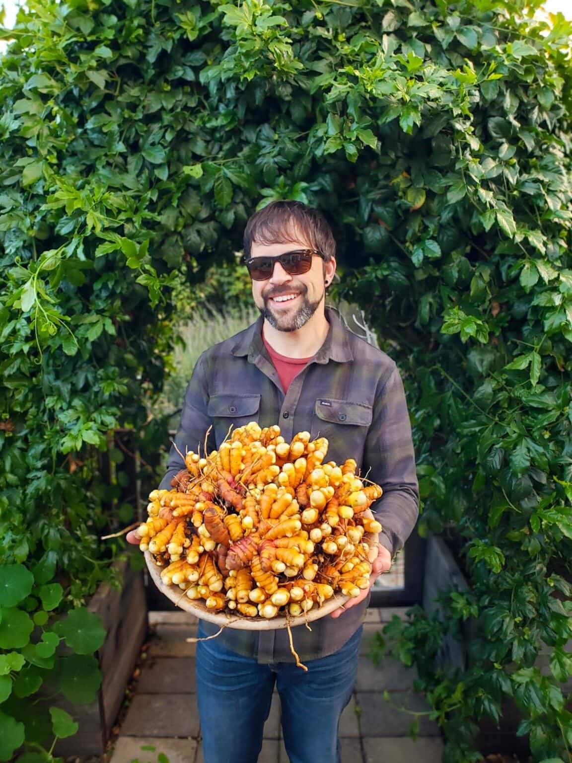 How to Grow Turmeric in Containers, in Any Zone! ~ Homestead and Chill