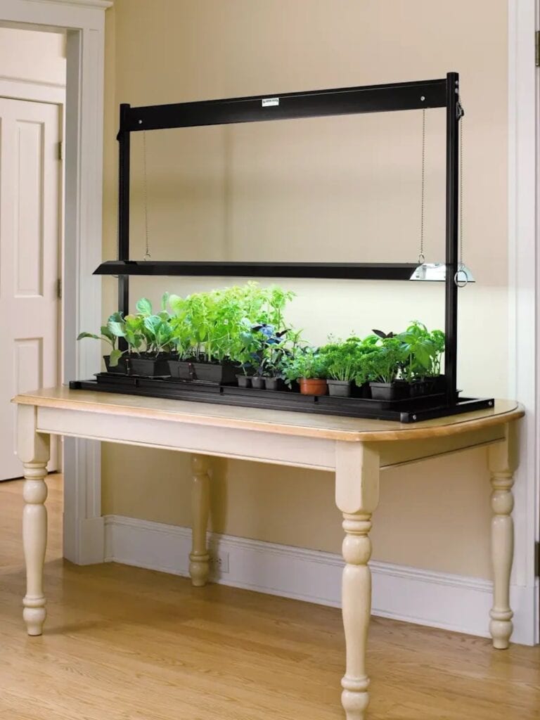 How to Start Seeds Indoors: The Ultimate Guide + Seedling Care Tips ...