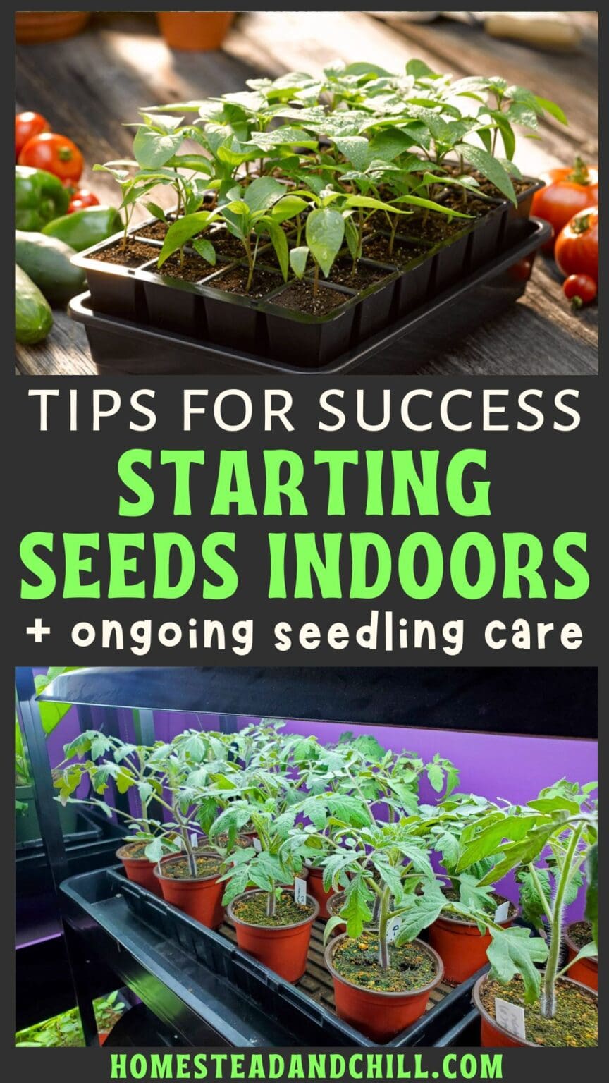 How to Start Seeds Indoors: The Ultimate Guide + Seedling Care Tips ...