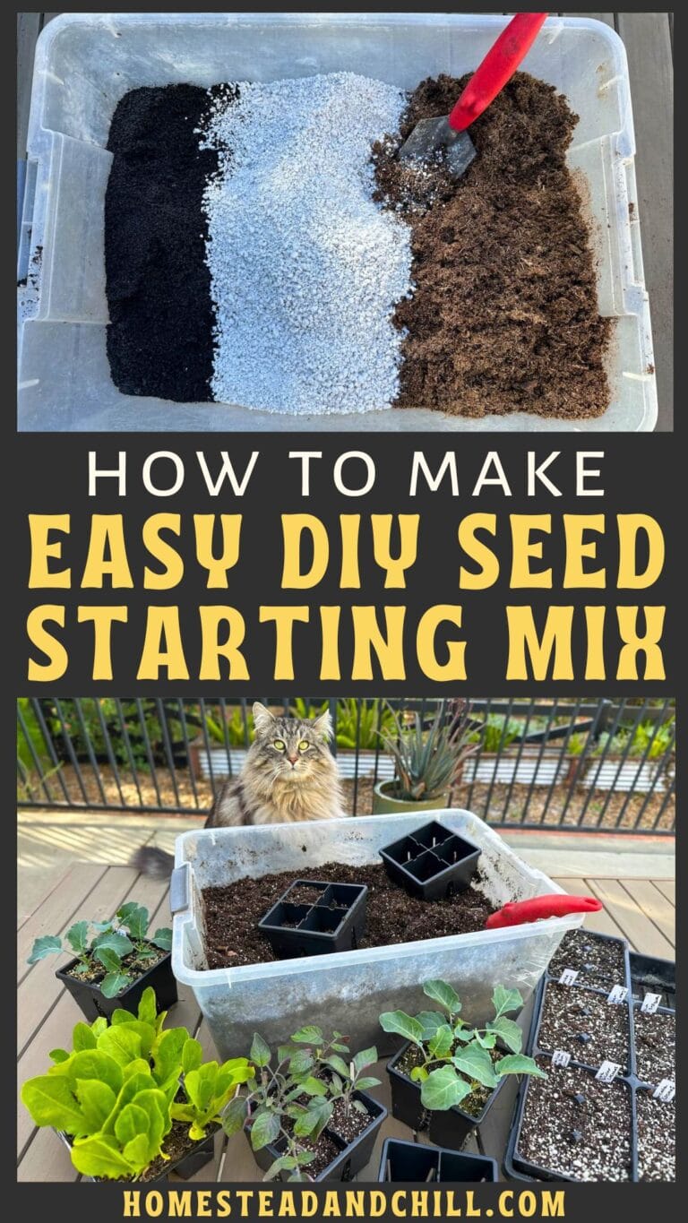 How to Make DIY Seed Starting Mix: The Best Recipe ~ Homestead and Chill