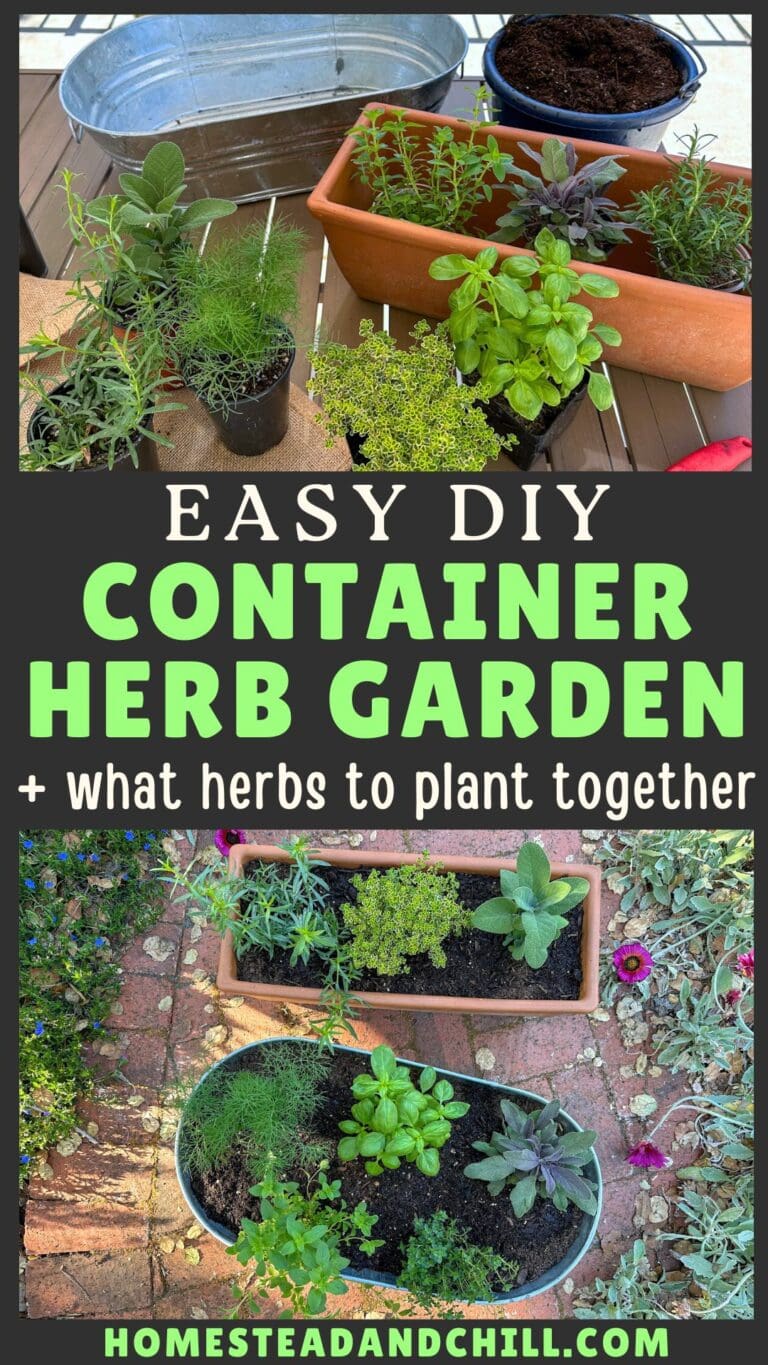 DIY Container Herb Garden Planter + The Best Herbs to Grow ~ Homestead ...