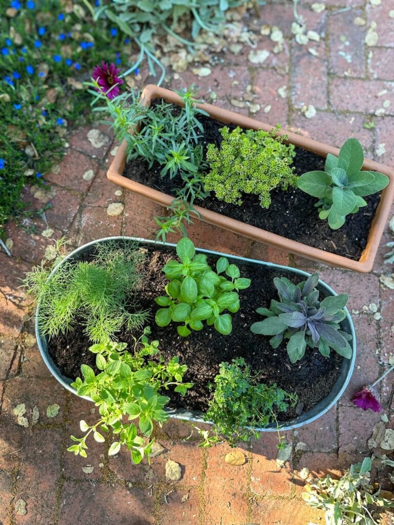 DIY Container Herb Garden Planter + The Best Herbs to Grow ~ Homestead ...