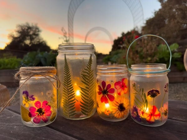 Pressing Flowers for Beginners: How to Press Flowers 4 Ways ~ Homestead ...