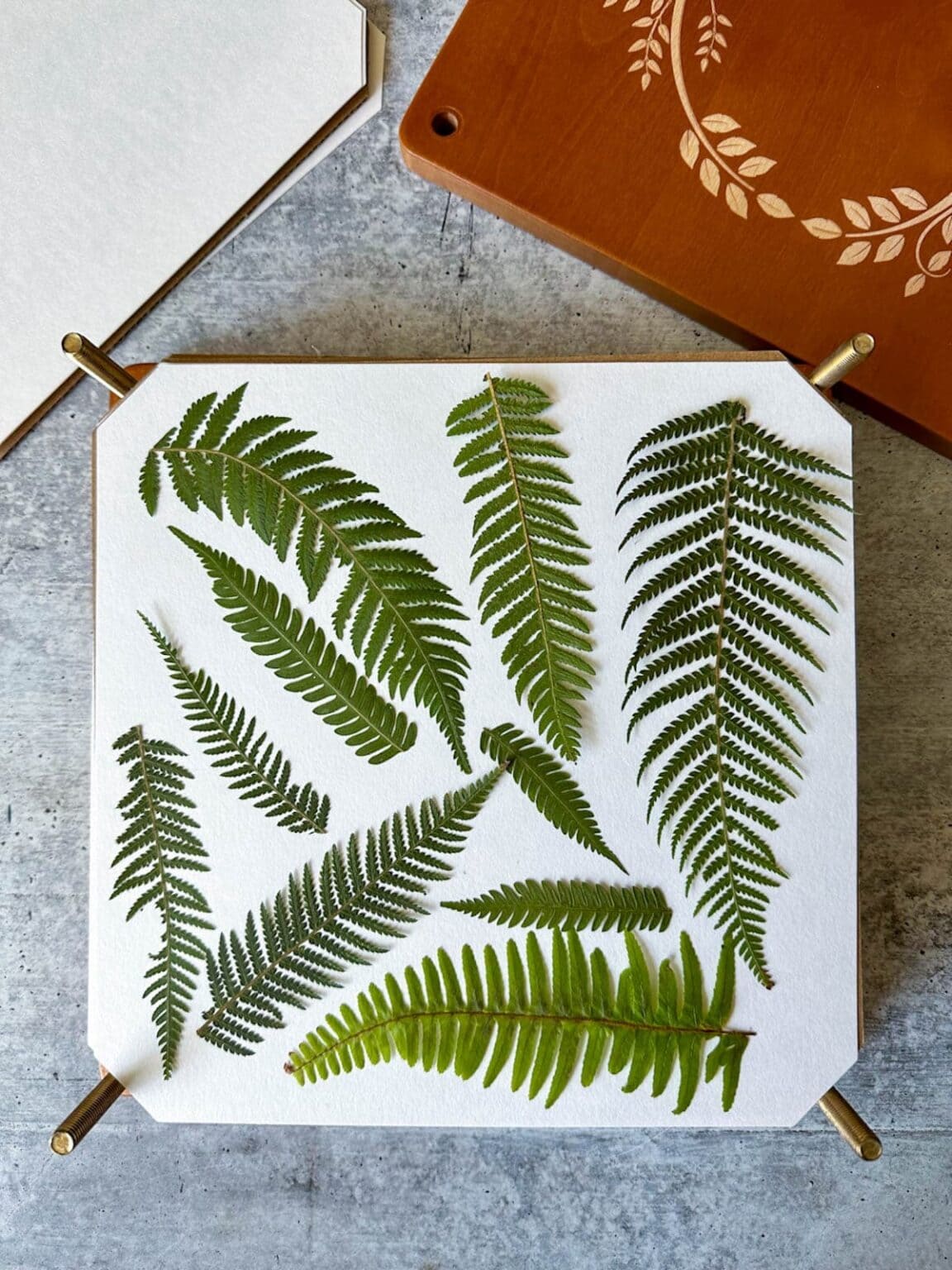 Pressing Flowers for Beginners: How to Press Flowers 4 Ways (Pros and ...