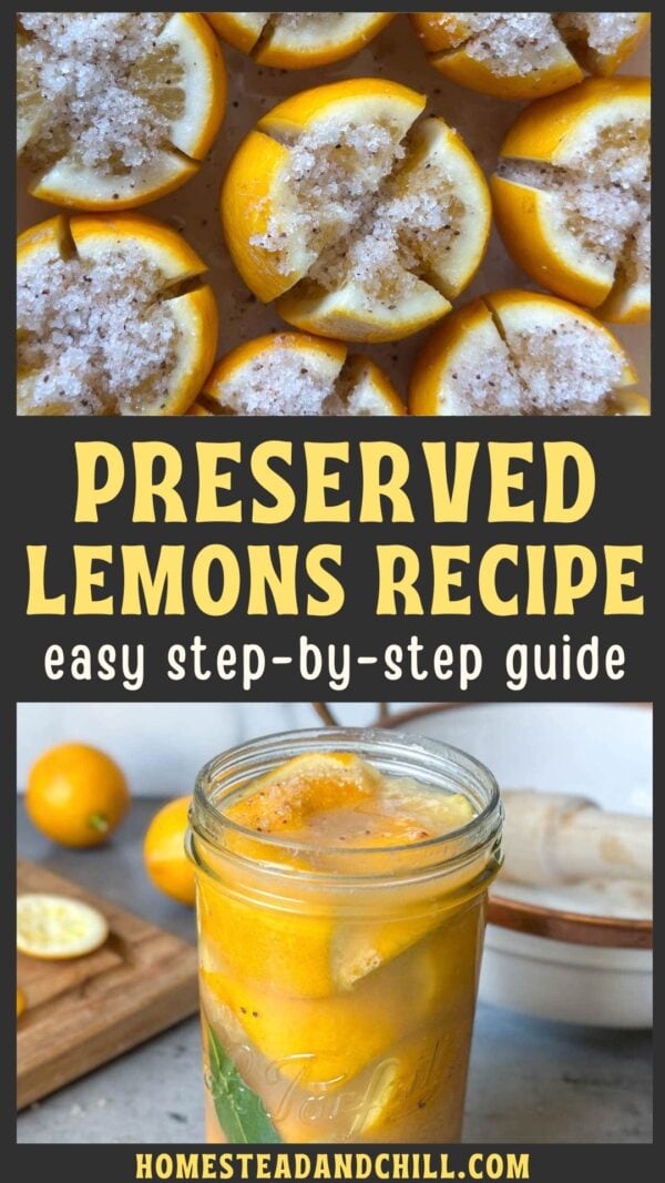 Preserved Lemons Recipe (How to Make Salt Pickled Lemons) ~ Homestead ...