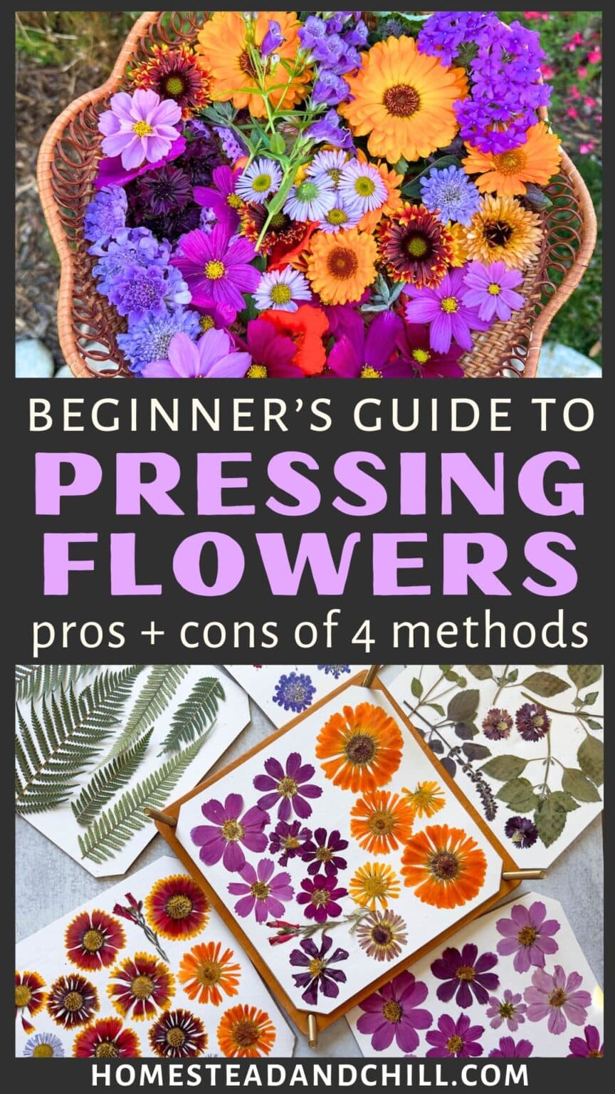 Pressing Flowers for Beginners: How to Press Flowers 4 Ways (Pros and ...