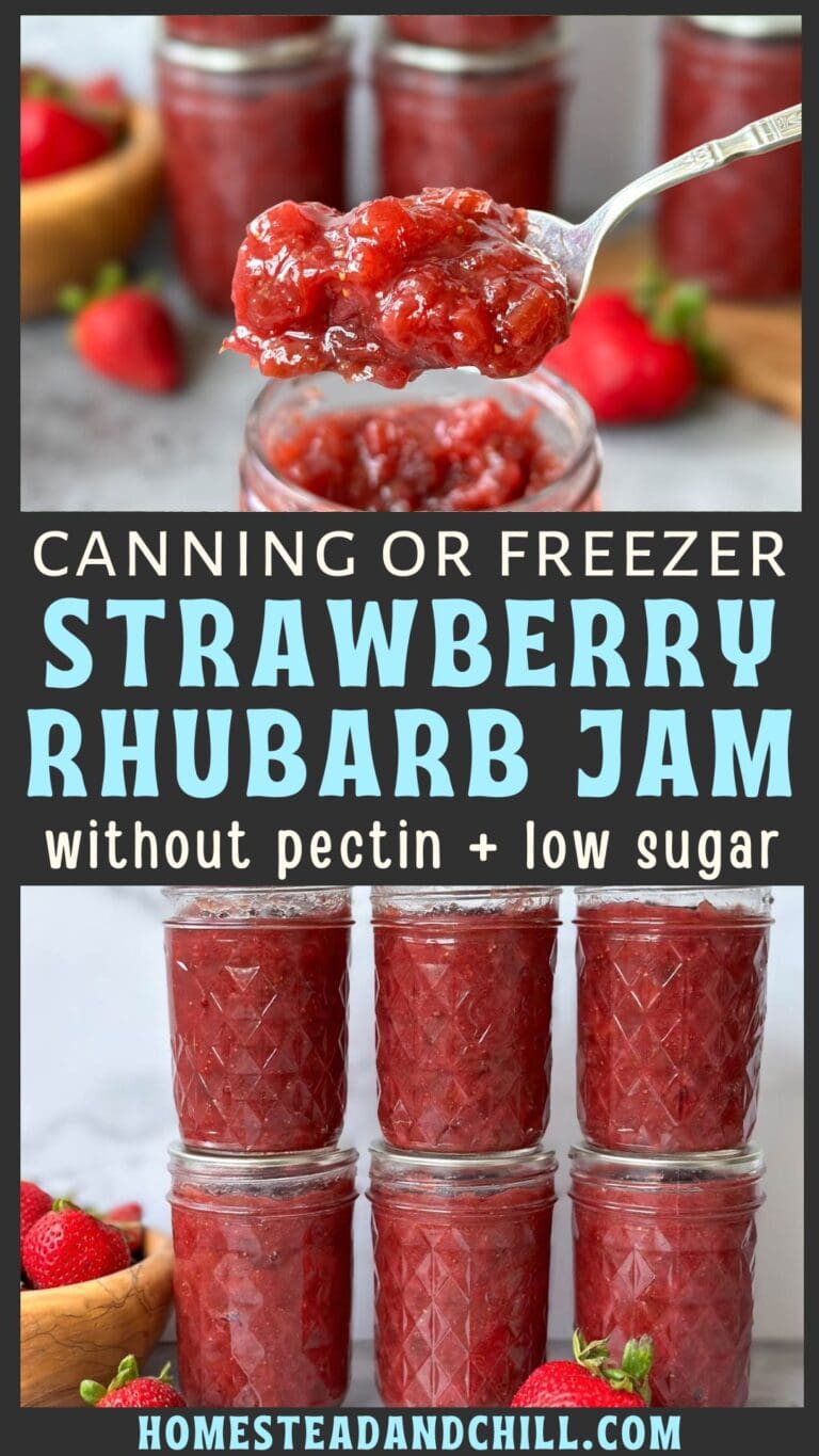 Simple Strawberry Rhubarb Jam Recipe (No Pectin, Can or Freezer ...