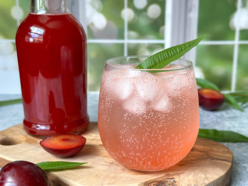 Easy Fruit Shrub Recipe: How to Make Delicious Drinking Vinegar ...