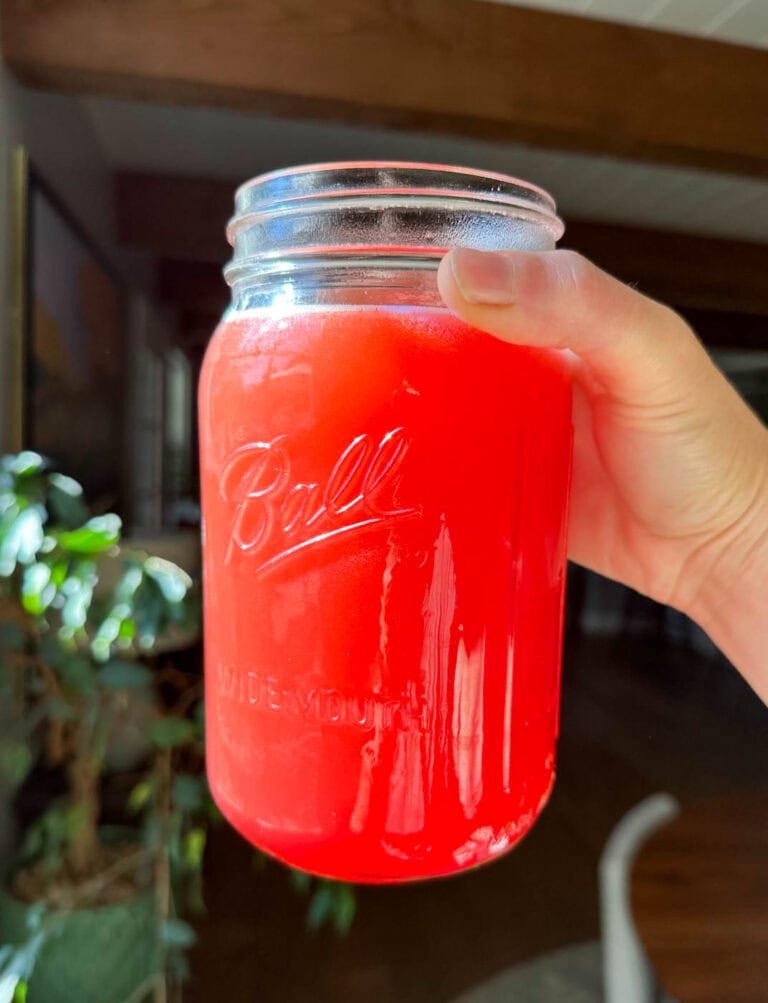 Easy Fruit Shrub Recipe: How to Make Delicious Drinking Vinegar ...