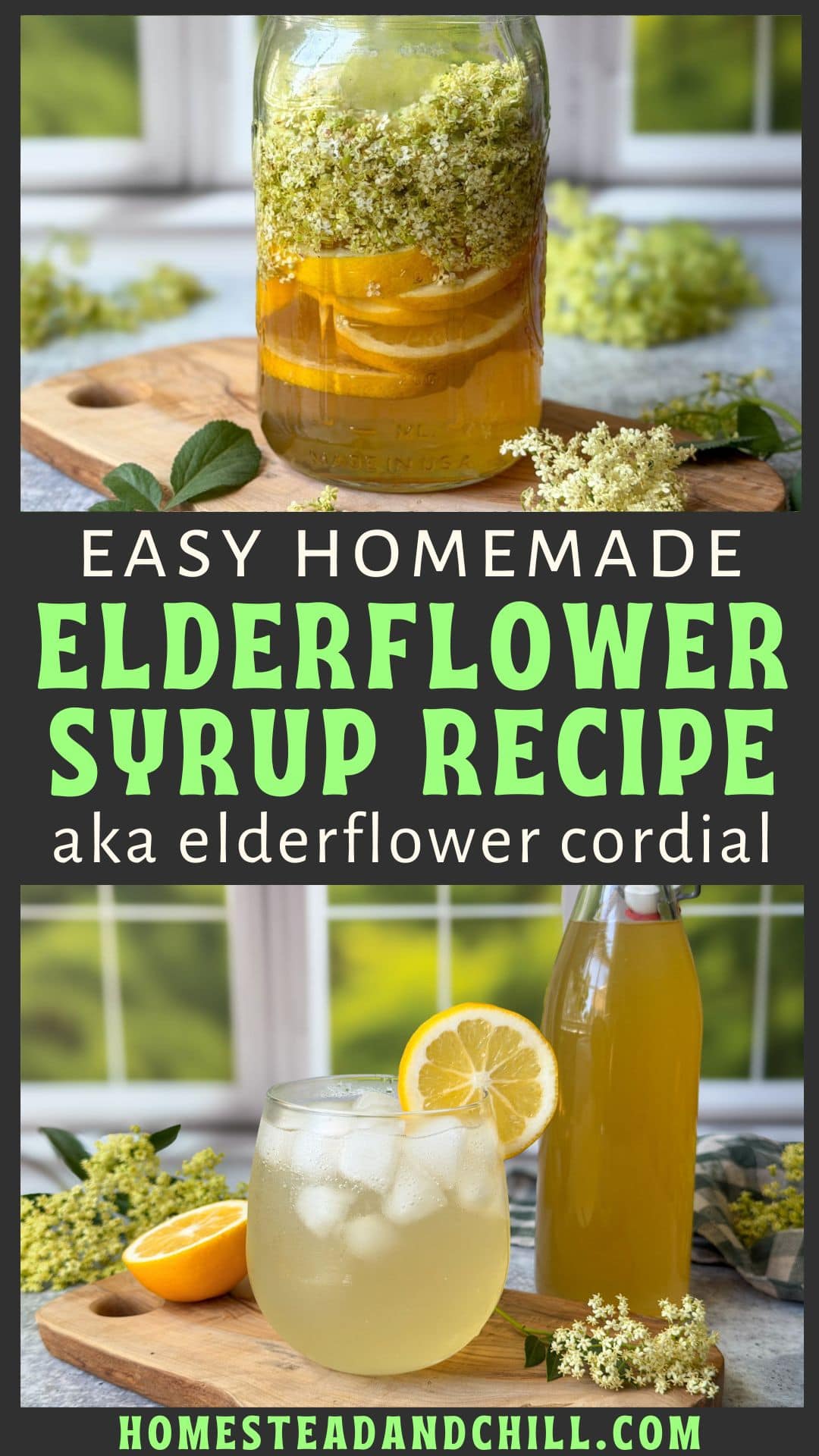 Easy Homemade Elderflower Cordial (Syrup) Recipe ~ Homestead and Chill